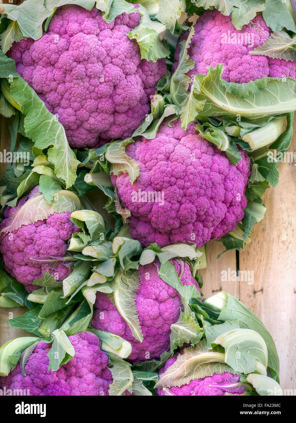 Violet cauliflower hi-res stock photography and images - Alamy