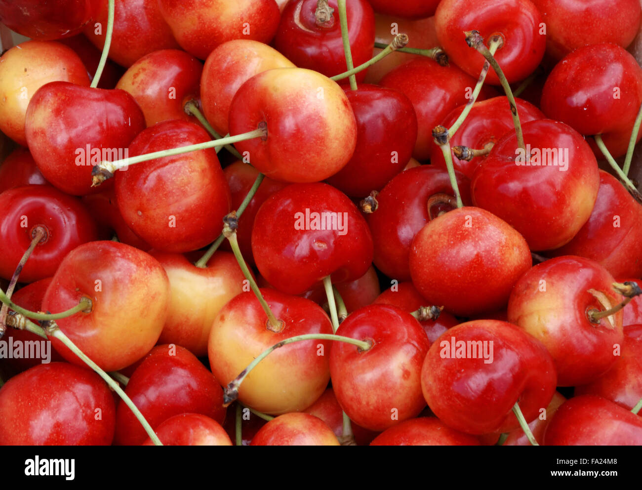 Cherries at a farmers market in France Stock Photo - Alamy