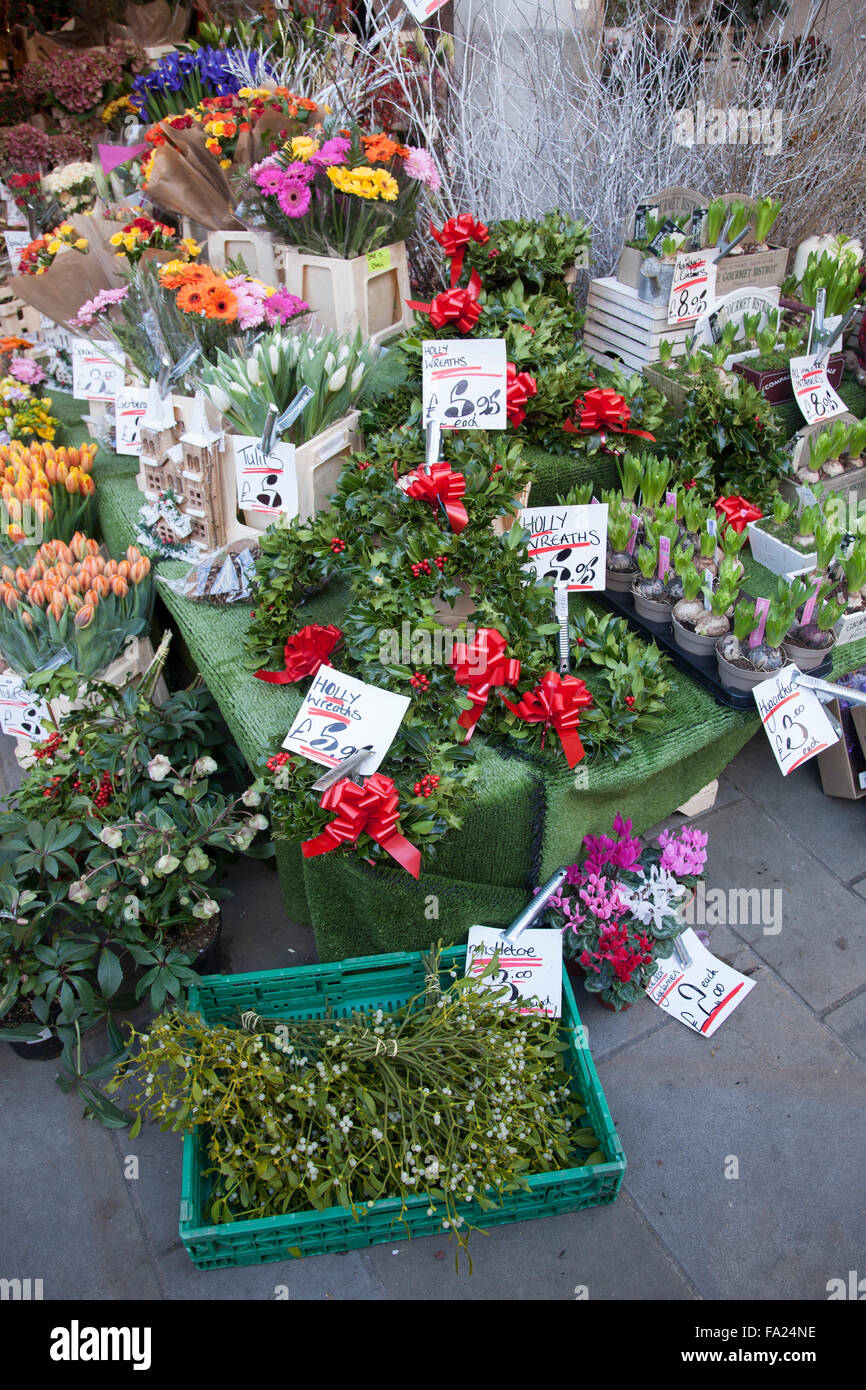 Florist Market Stall at Christmas in Winchester, Hampshire, England ...