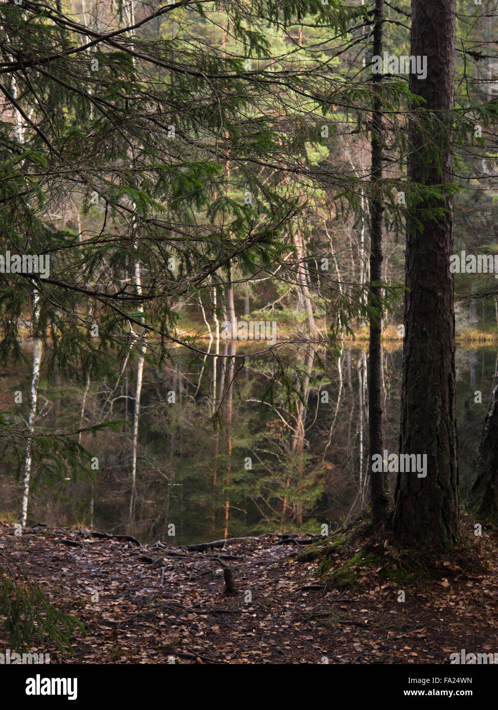 Fall colors nordmarka norway hi-res stock photography and images - Alamy