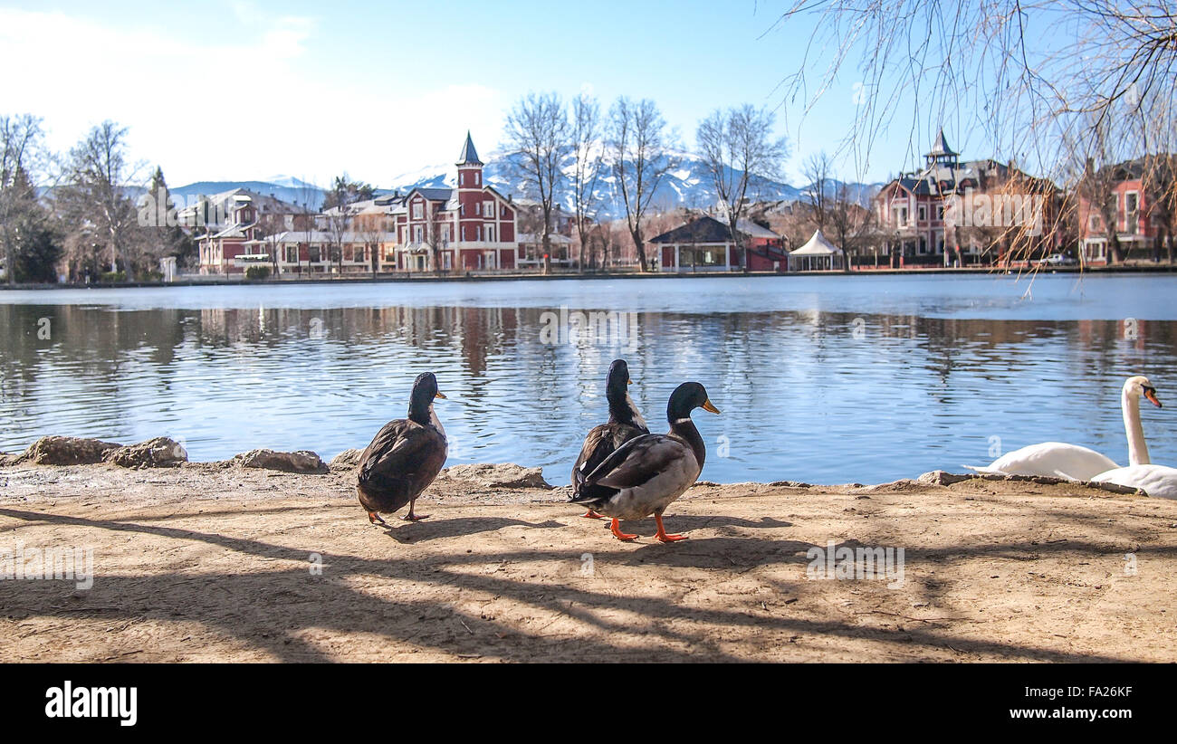 Puigcerda pyrenees hi-res stock photography and images - Alamy