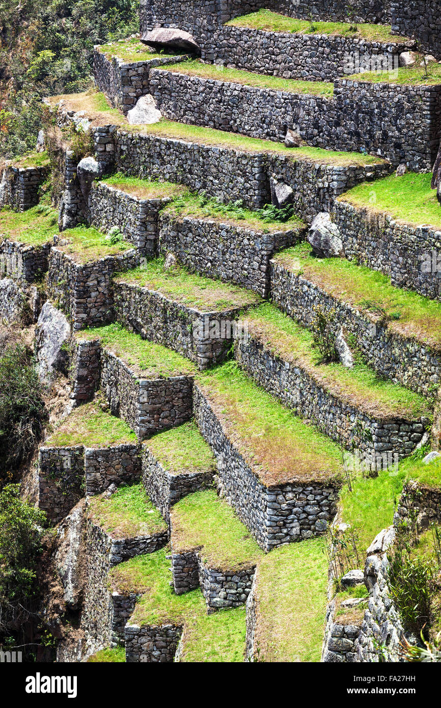 terraces on the mountain of Machu Picchu Stock Photo - Alamy