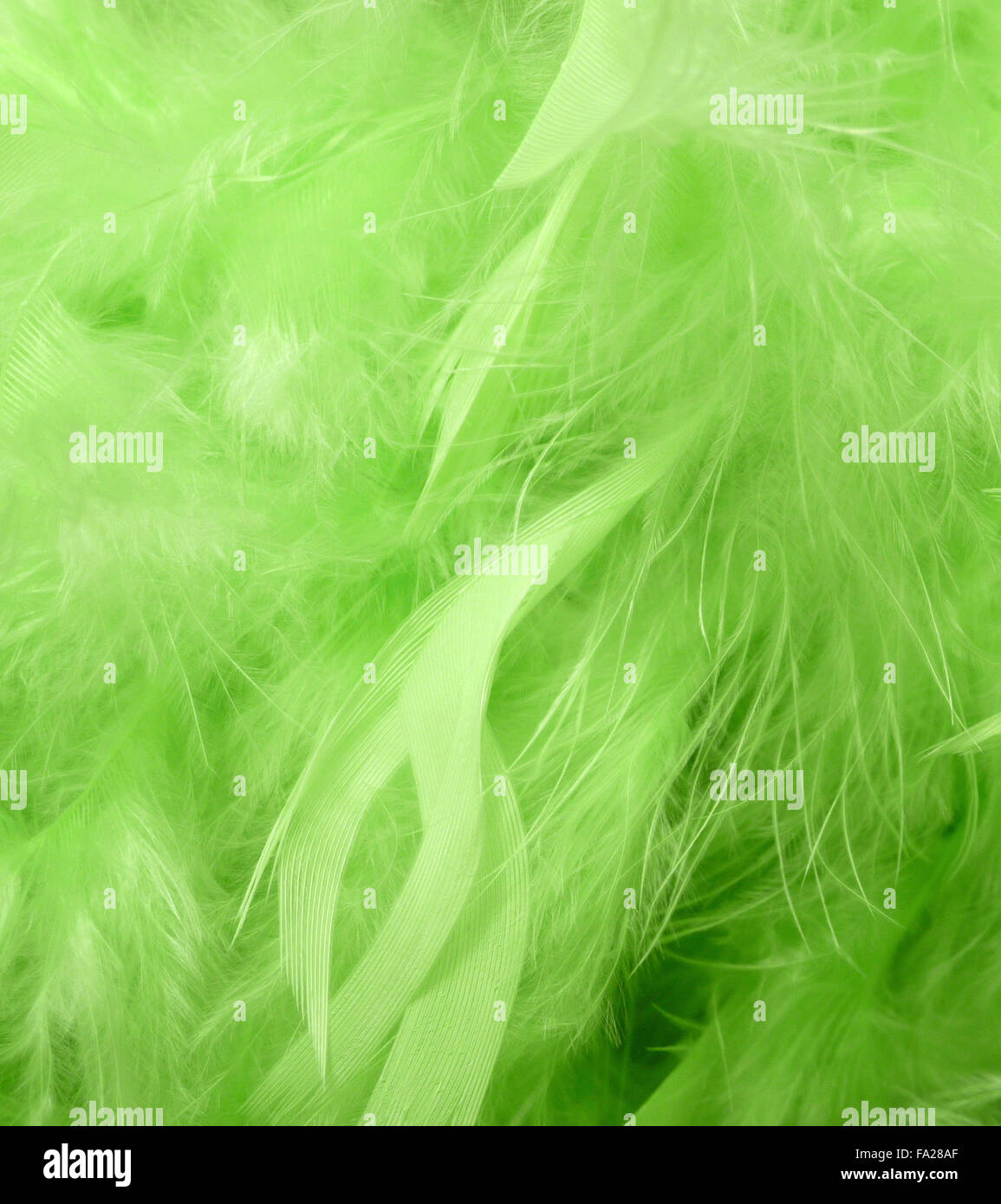 Background with green feathers - macro image Stock Photo - Alamy