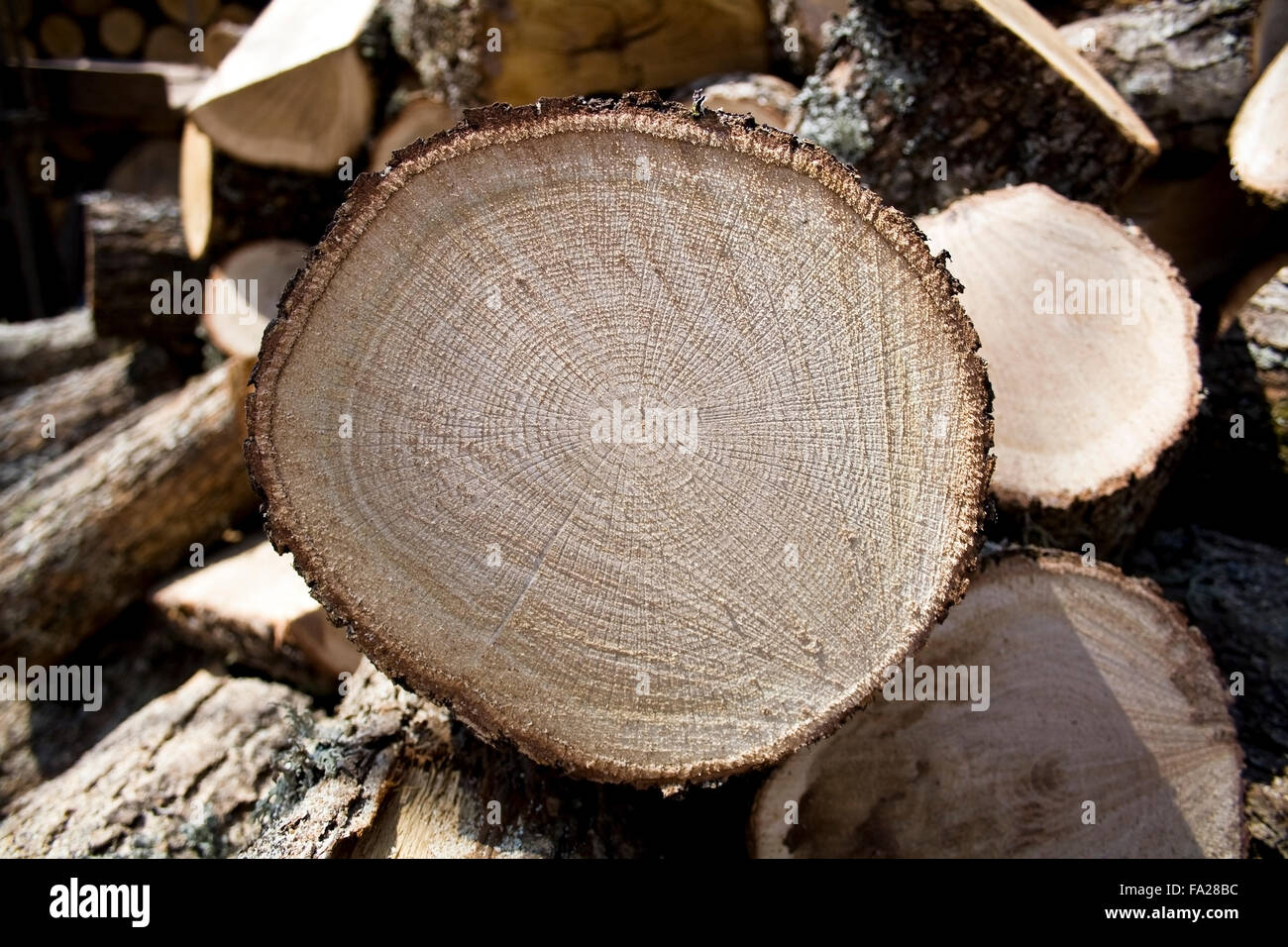 Oak fire hi-res stock photography and images - Alamy