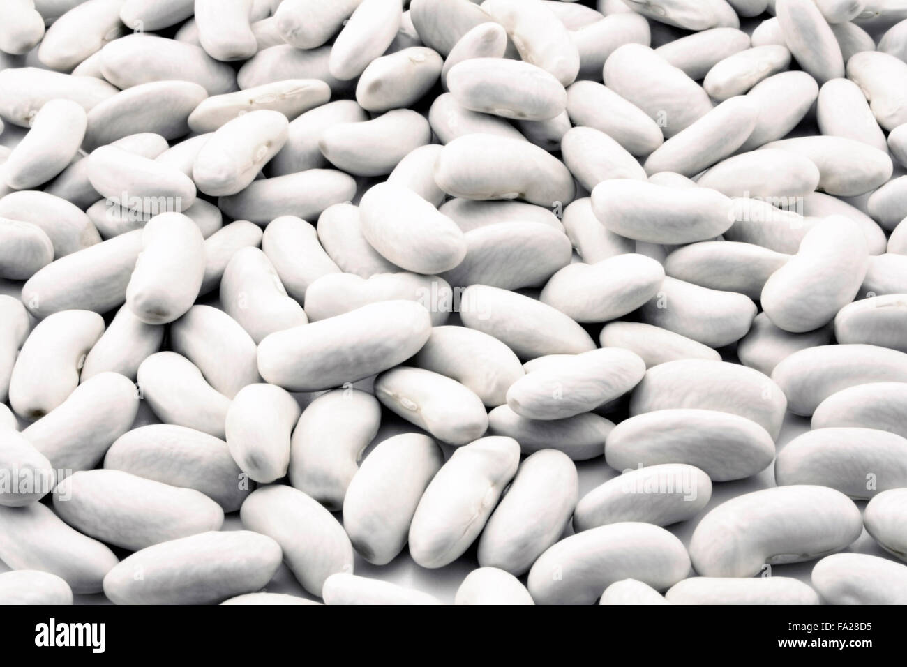 Close-up view of white beans Stock Photo - Alamy