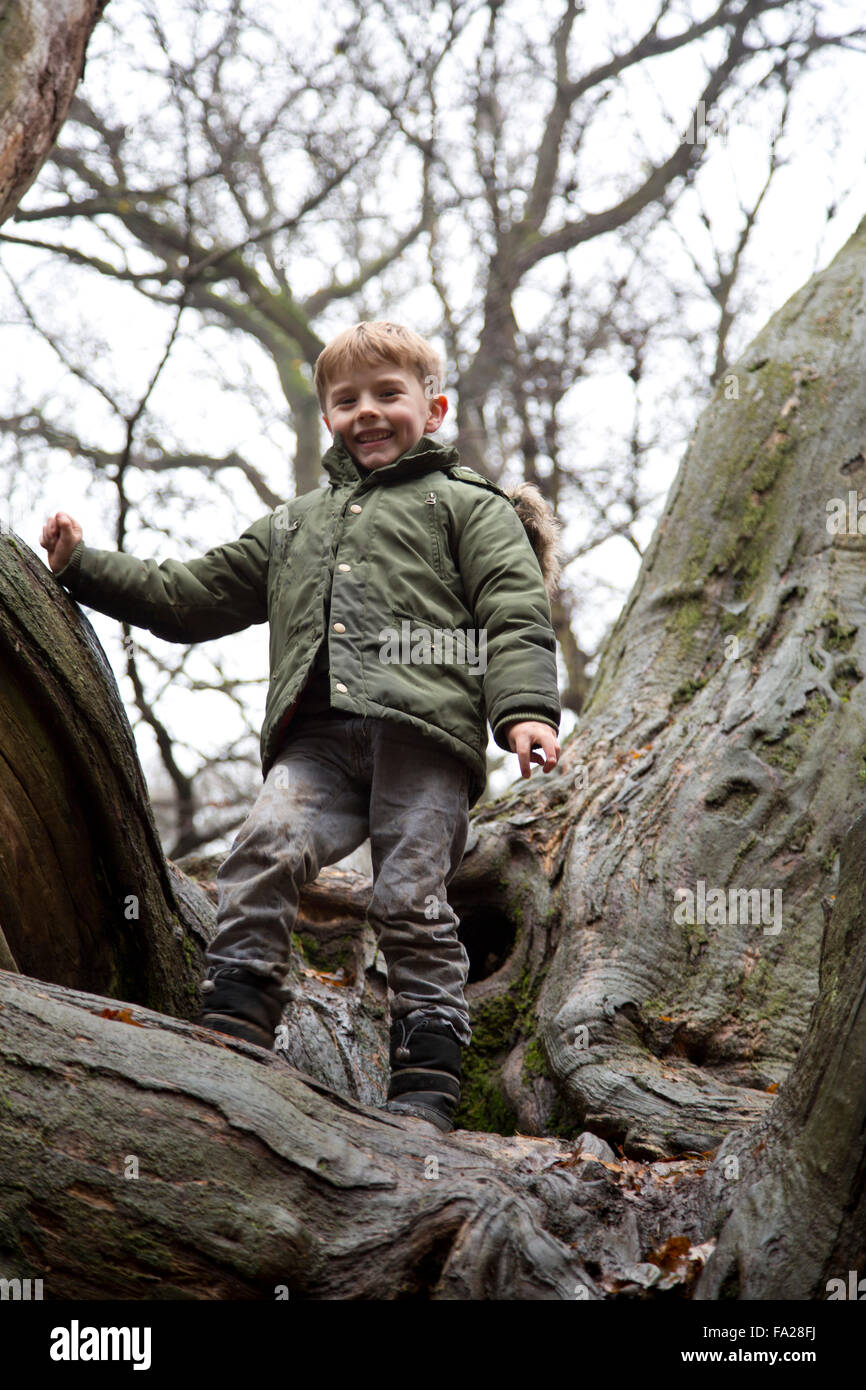 Children climbing trees Stock Photo - Alamy