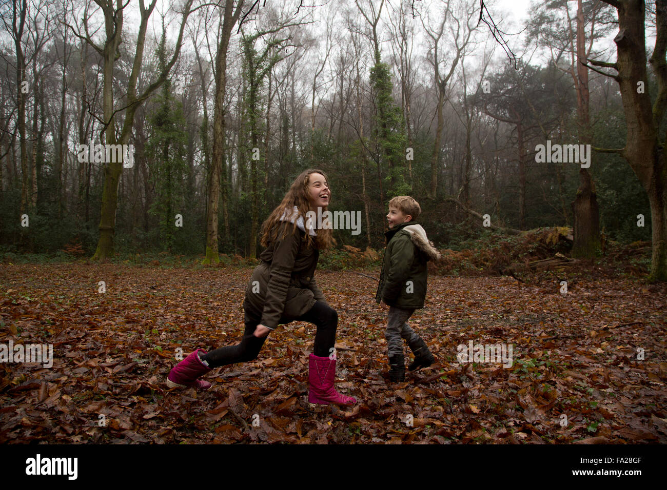 Children playing in the woods Stock Photo - Alamy