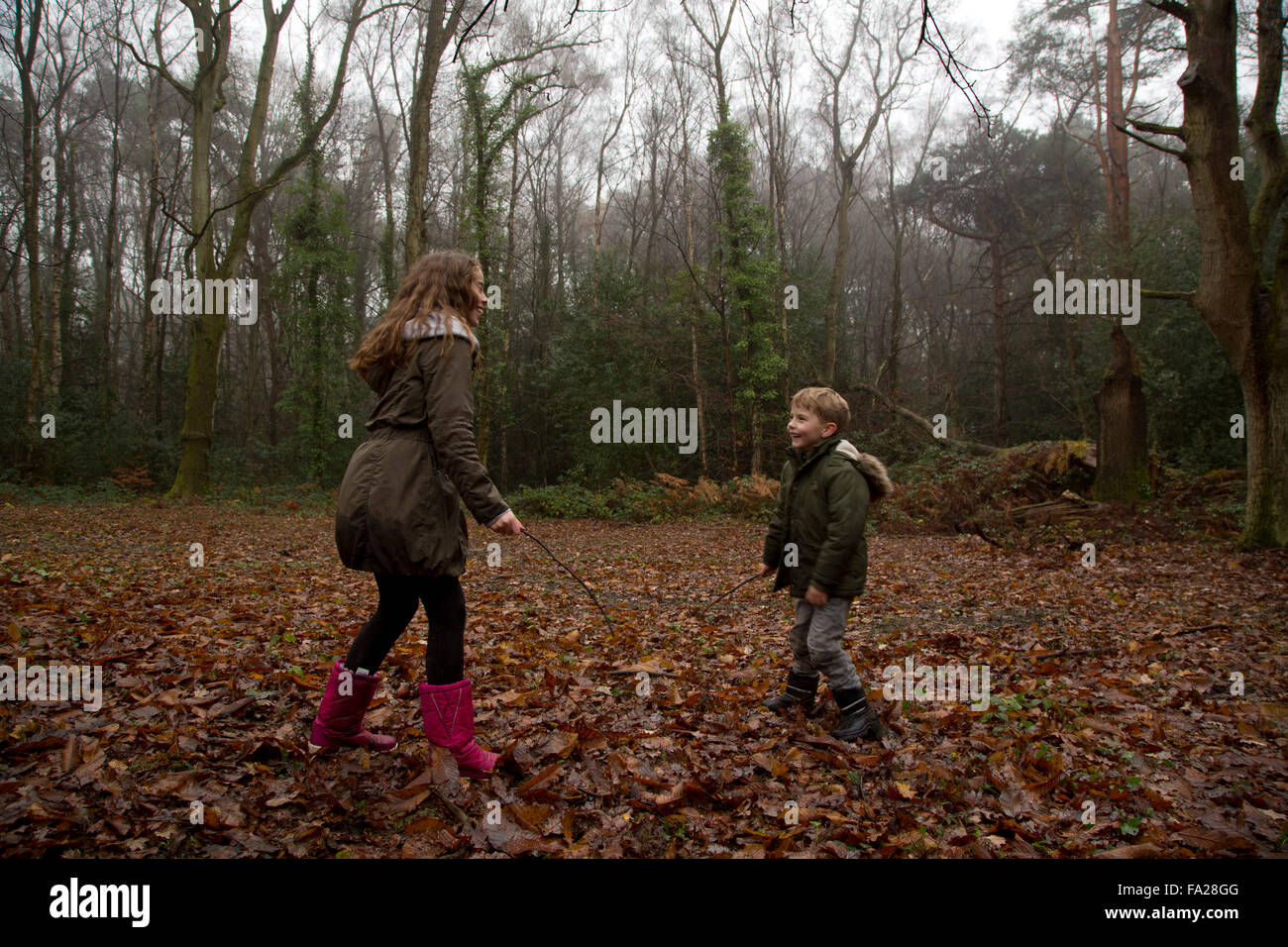 Children playing in the woods Stock Photo - Alamy