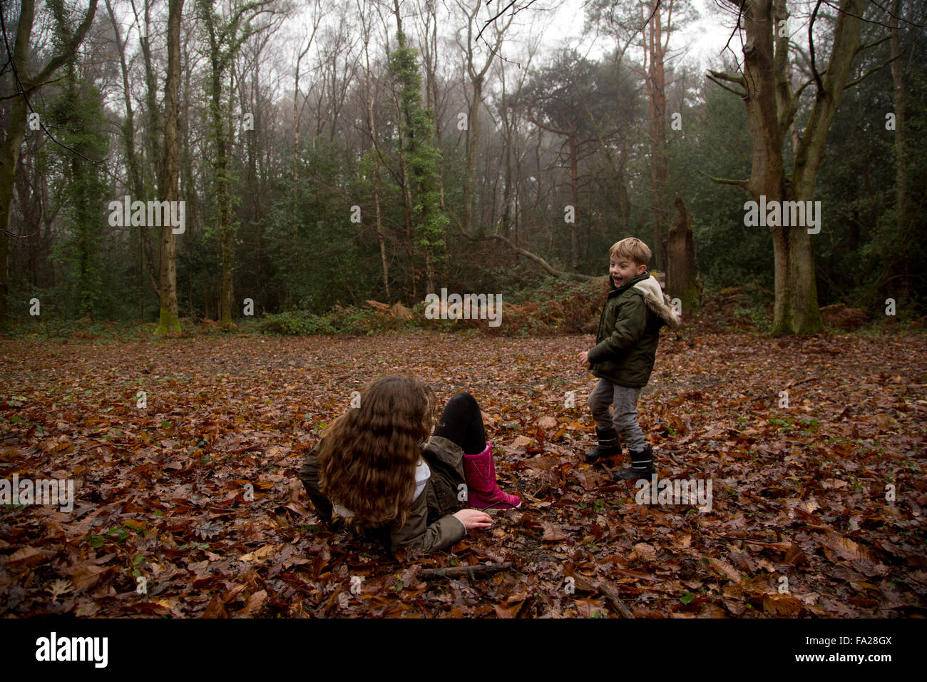 Boy girl playing in woods hi-res stock photography and images - Alamy