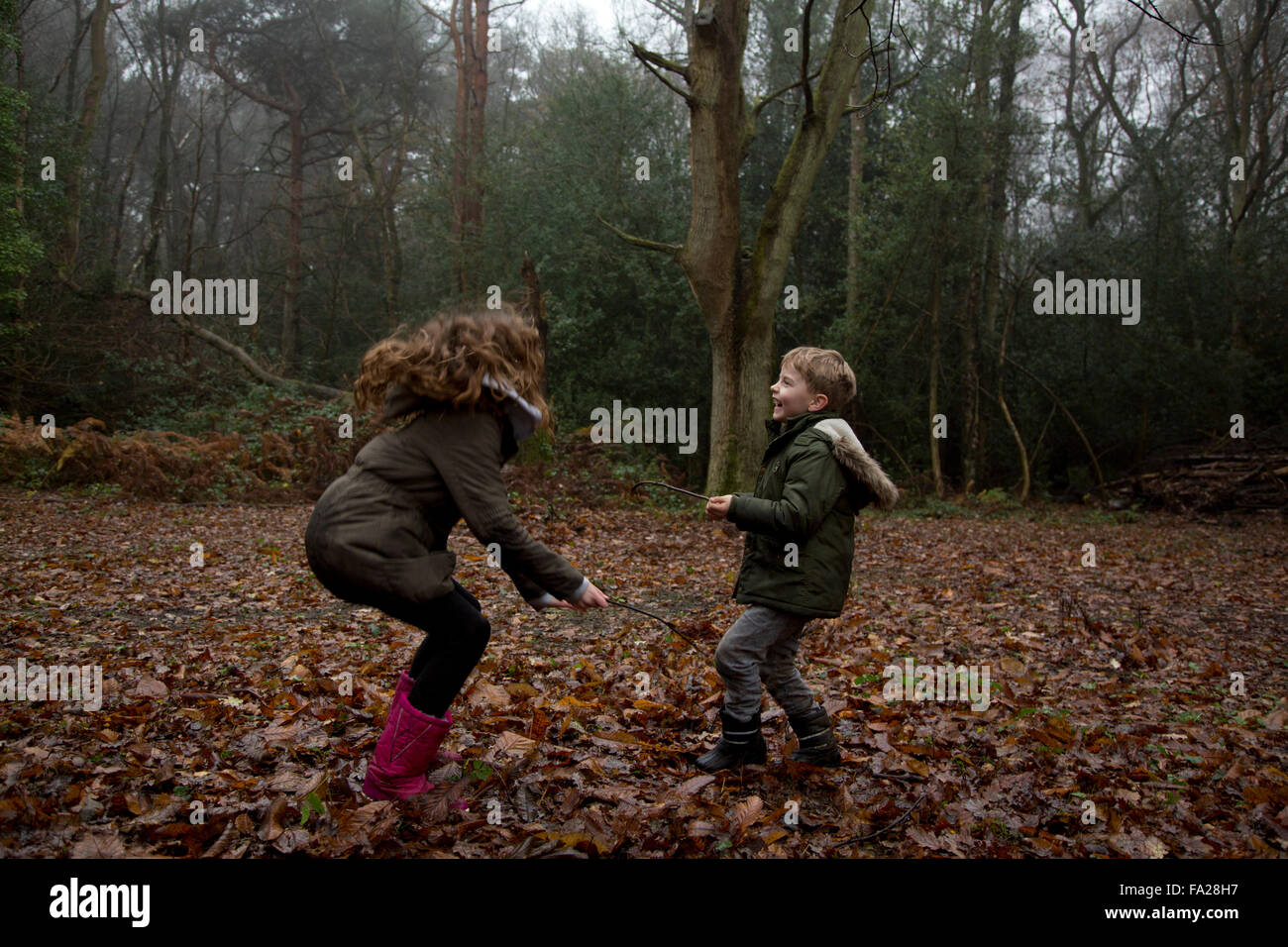 Children playing in the woods Stock Photo - Alamy