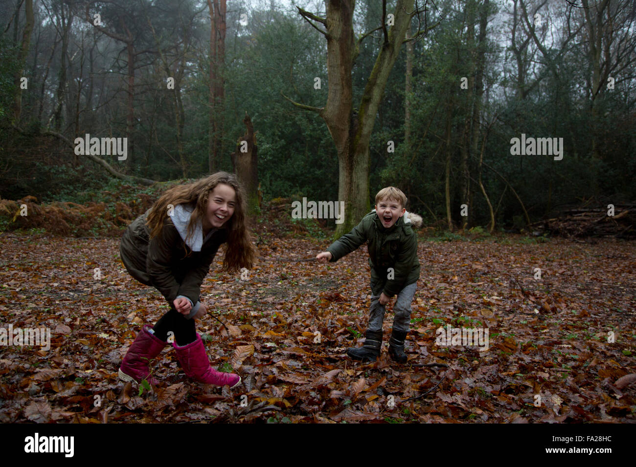 Children playing in the woods Stock Photo - Alamy