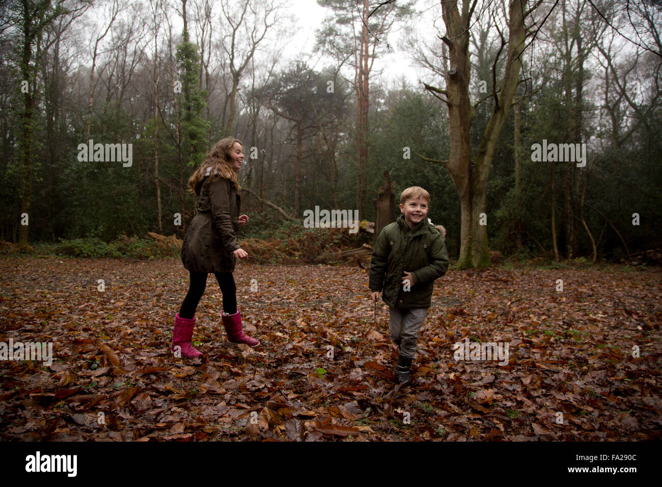 Children playing in the woods hi-res stock photography and images - Alamy
