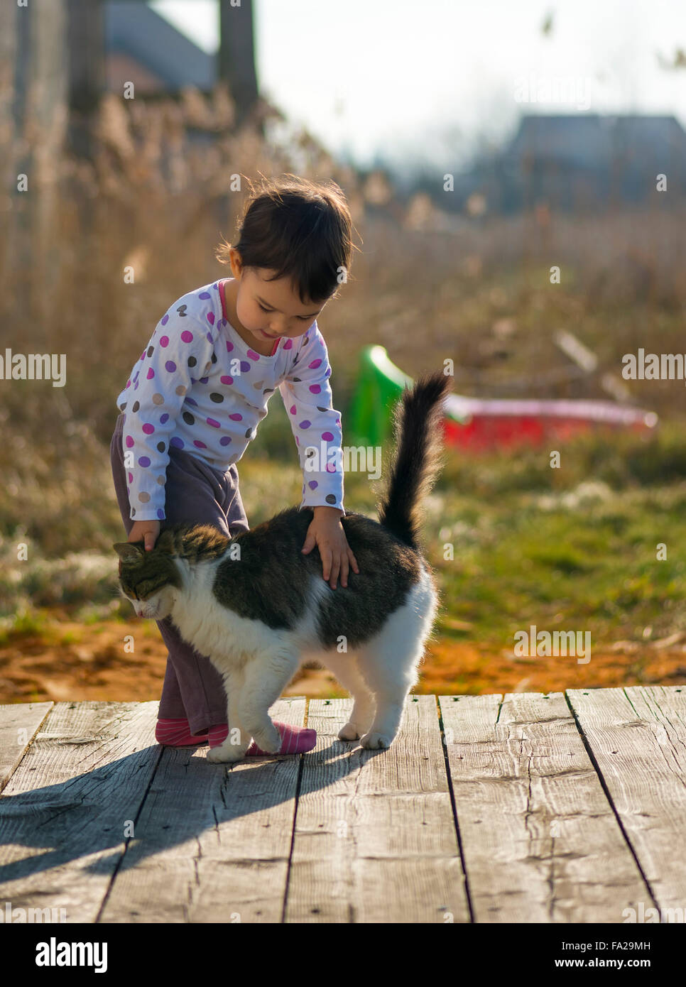 Little Girl and cat play outside Stock Photo - Alamy