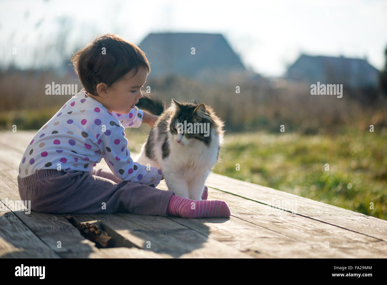 Little Girl and cat play outside Stock Photo - Alamy