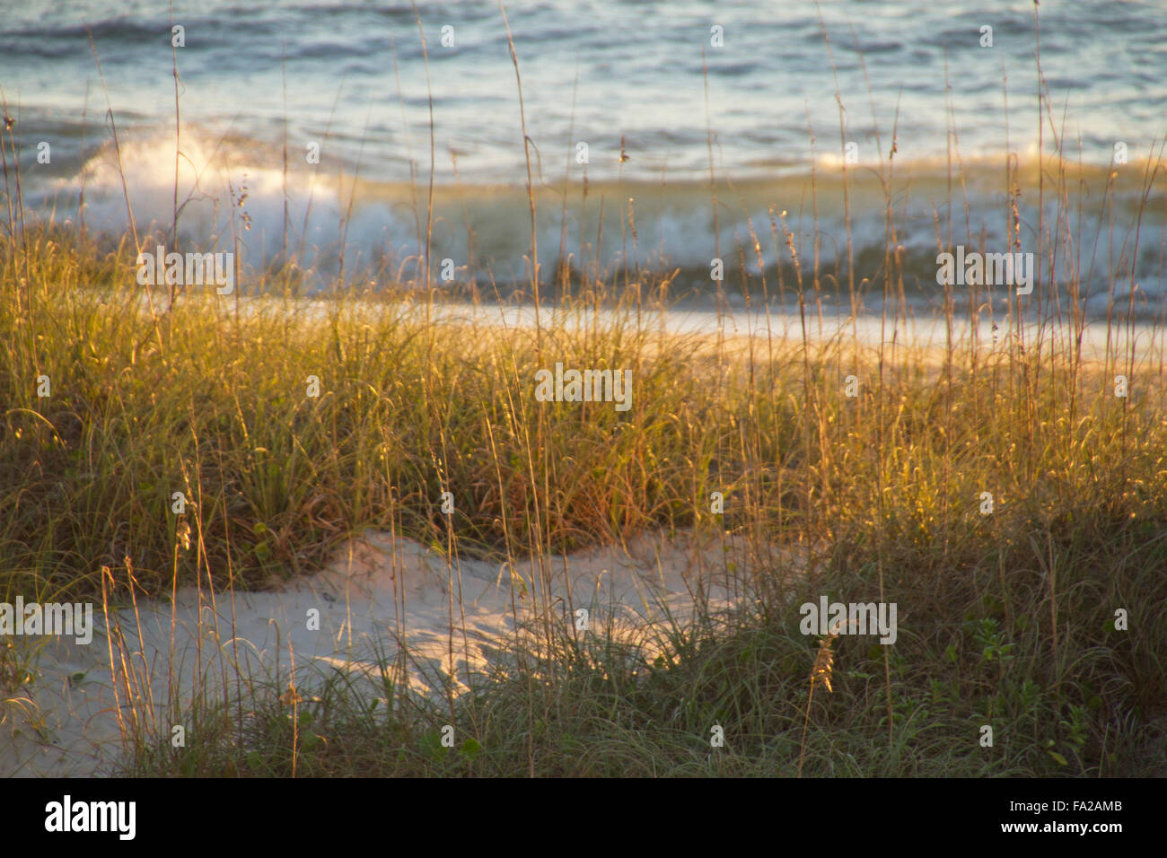 A sandy, grass lined path leads to a blue sea with breaking waves ona ...