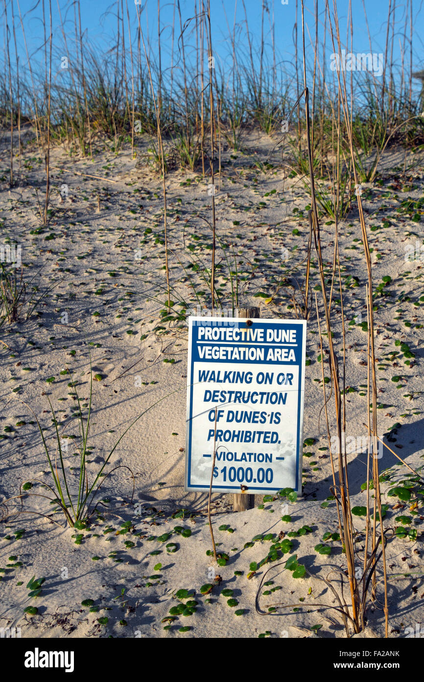 How to protect the environment High Resolution Stock Photography and ...