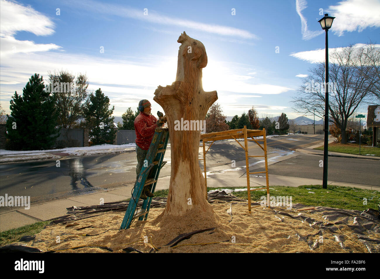Wood carver sculpting a tall tree stump Stock Photo - Alamy