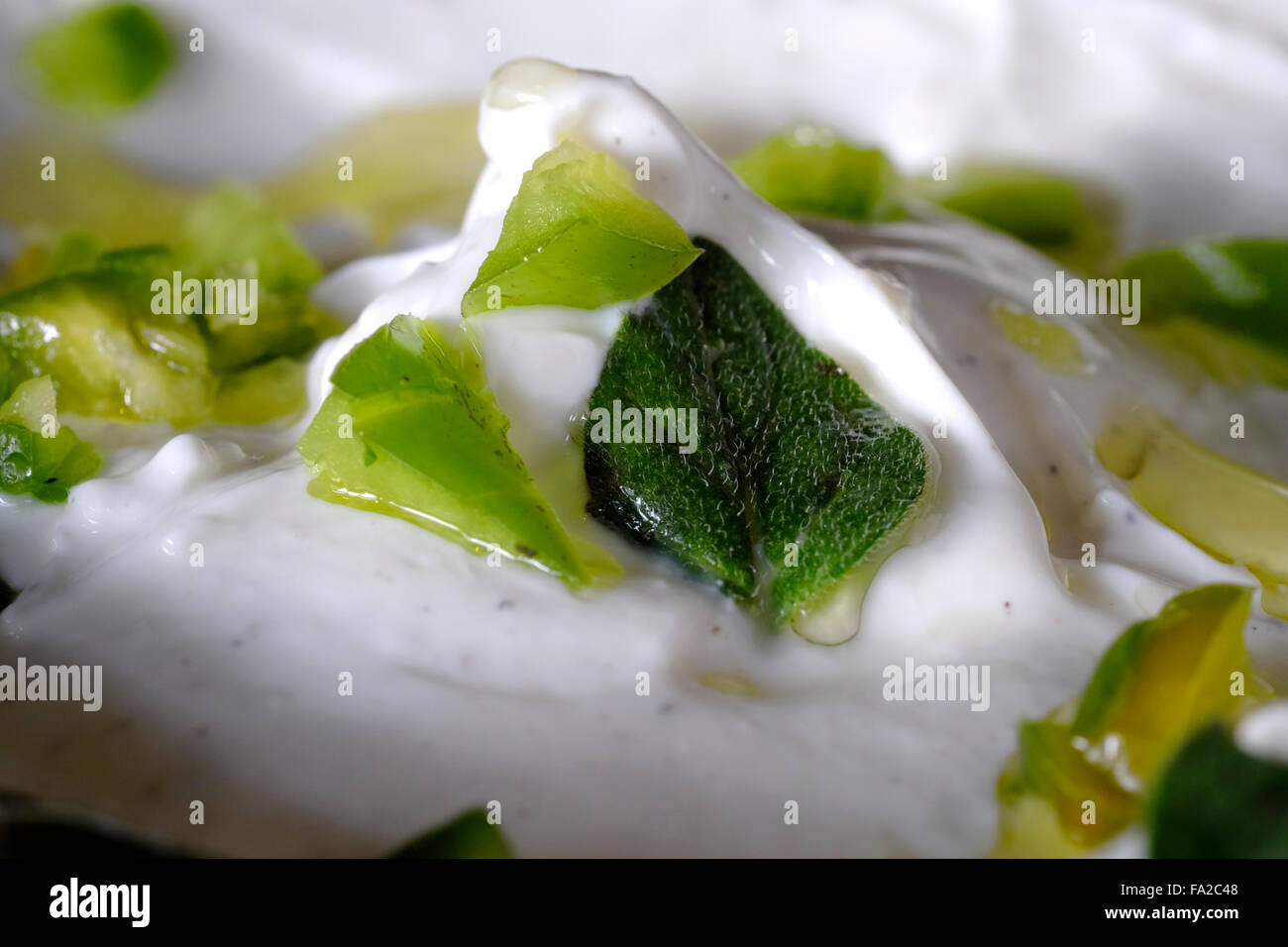 A dish of Labaneh or Labane Middle eastern strained yogurt cheese ...