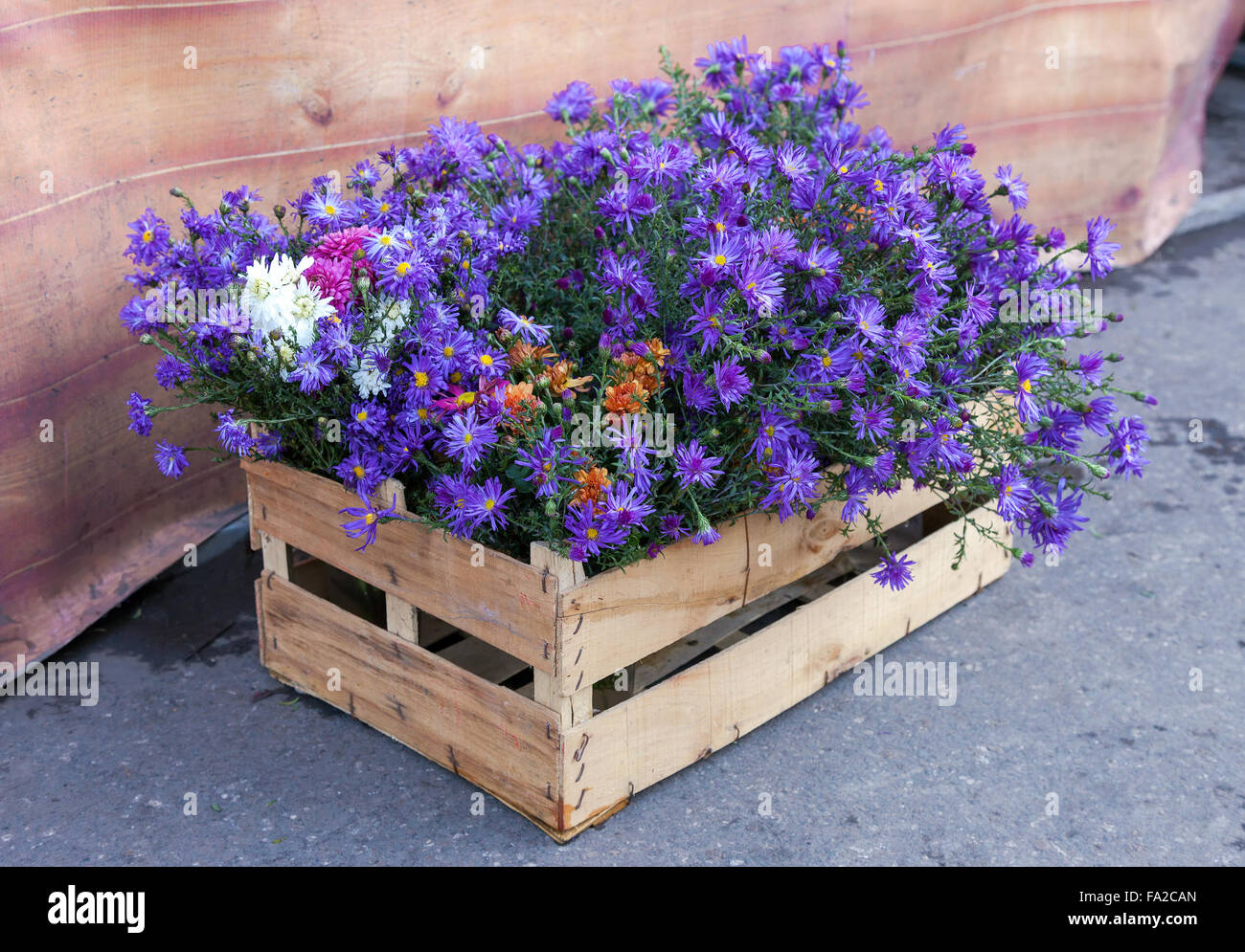 Wooden box with decorative flowers Stock Photo - Alamy