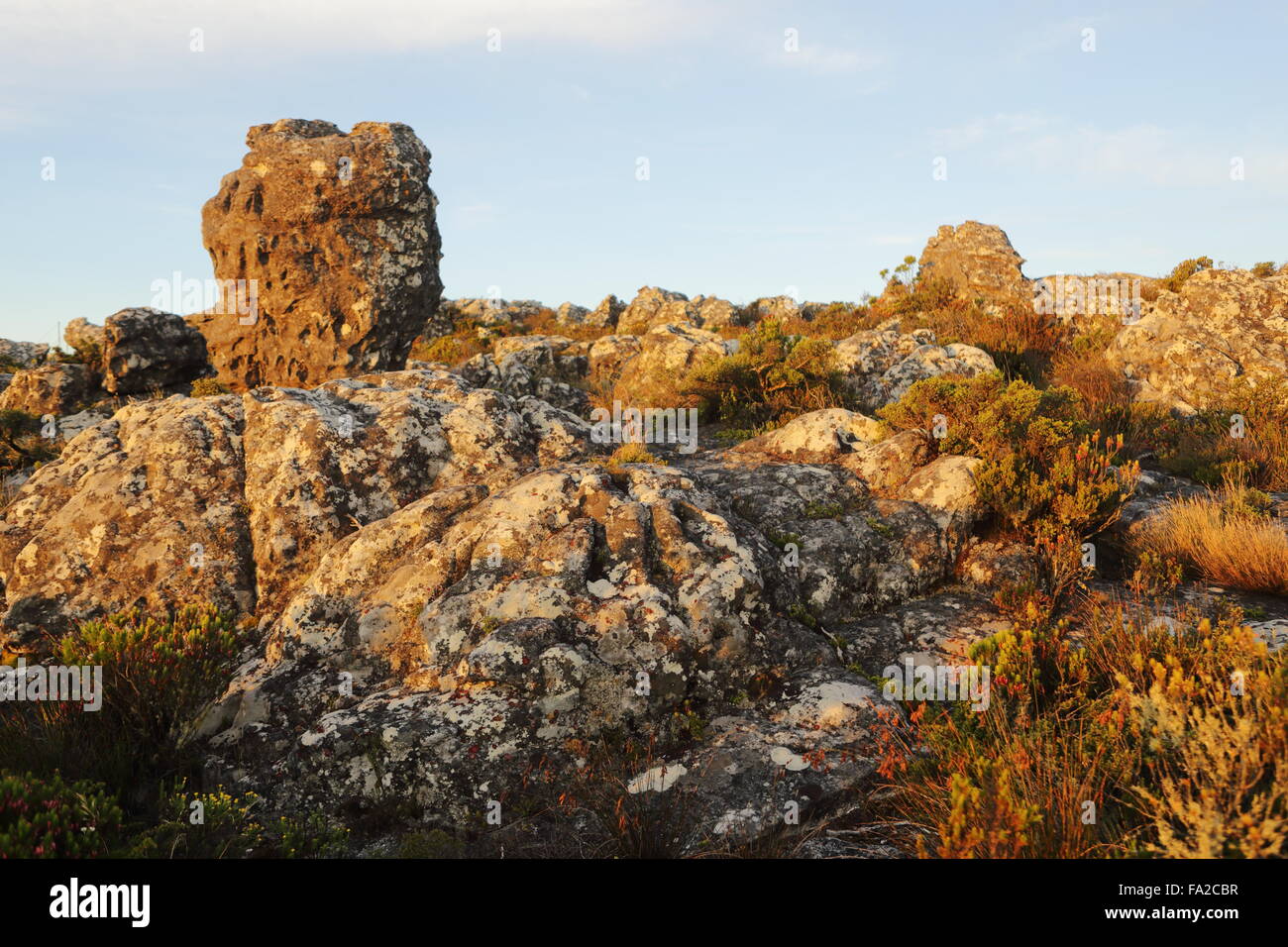 Table Mountain rock formations at sunset Stock Photo - Alamy