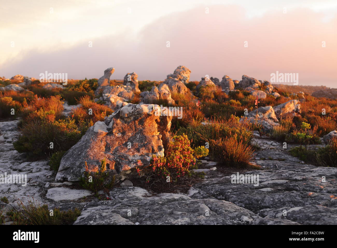 Table Mountain rock formations at sunset Stock Photo - Alamy