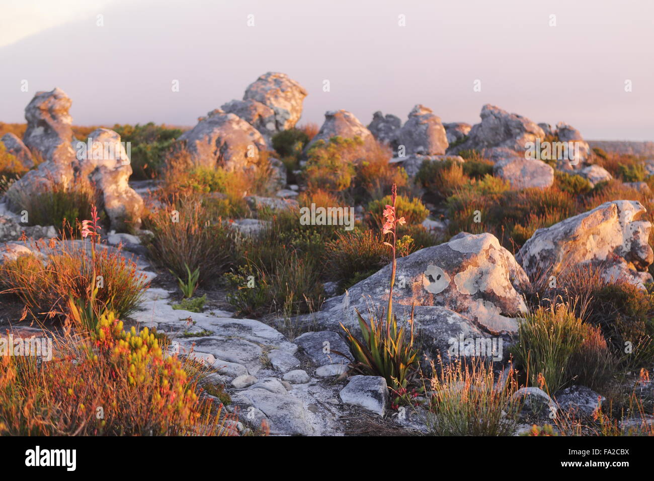 Table of rock hi-res stock photography and images - Alamy