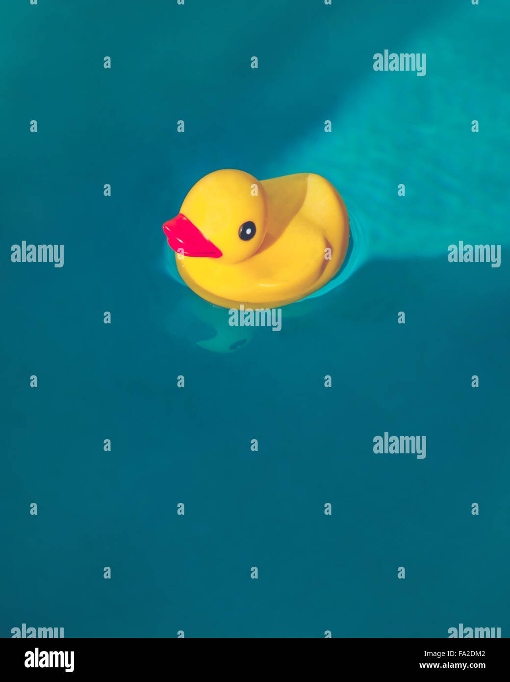 Rubber Duck floating in deep blue water Stock Photo - Alamy