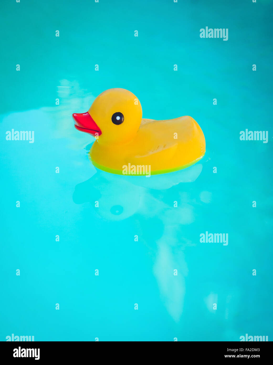 Plastic ducks in swimming pool hi-res stock photography and images - Alamy