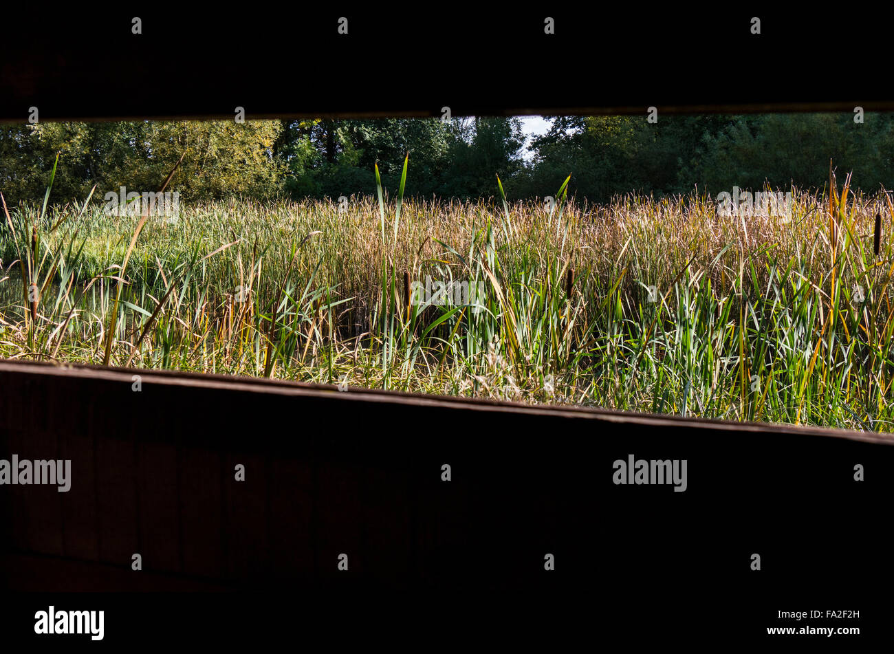 Ufton hi-res stock photography and images - Alamy
