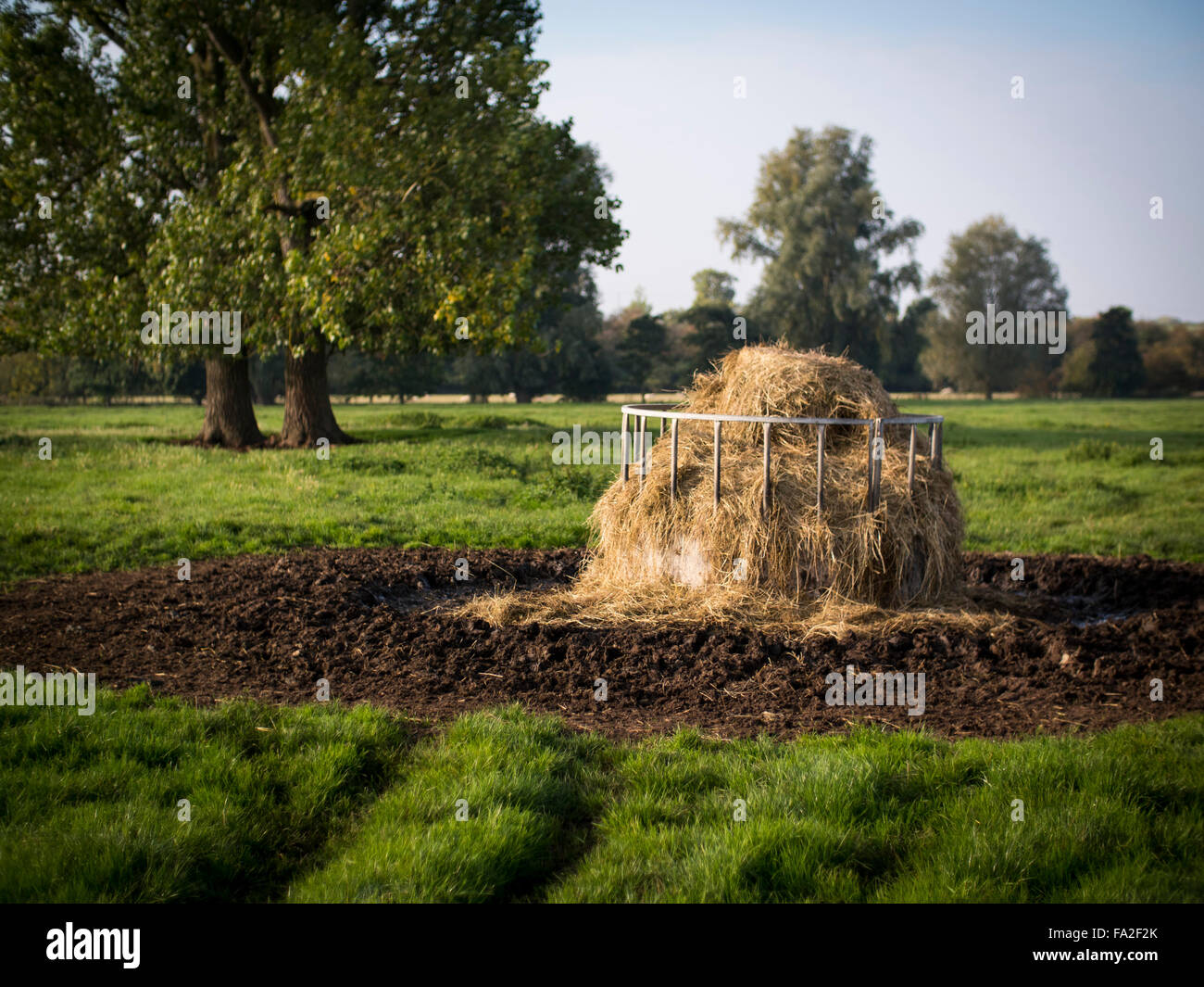 Cattle feeding hay device hi-res stock photography and images - Alamy