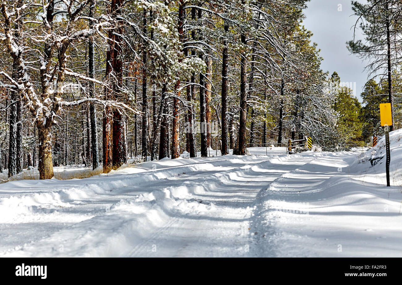 Road signs covered by trees hi-res stock photography and images - Alamy