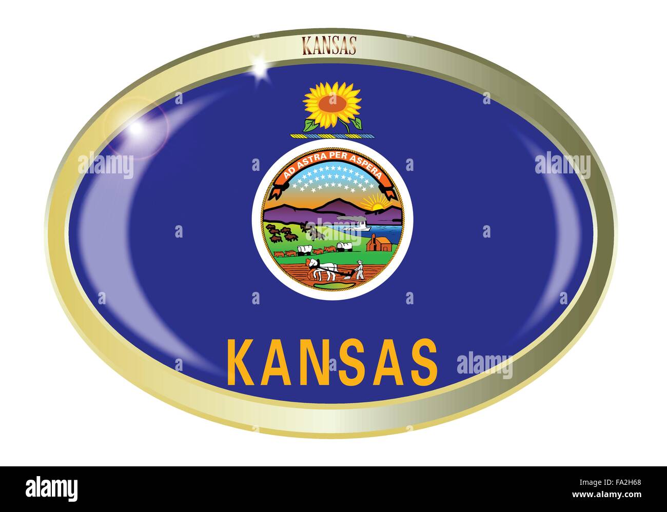 Oval metal button with the Kansas flag isolated on a white background ...