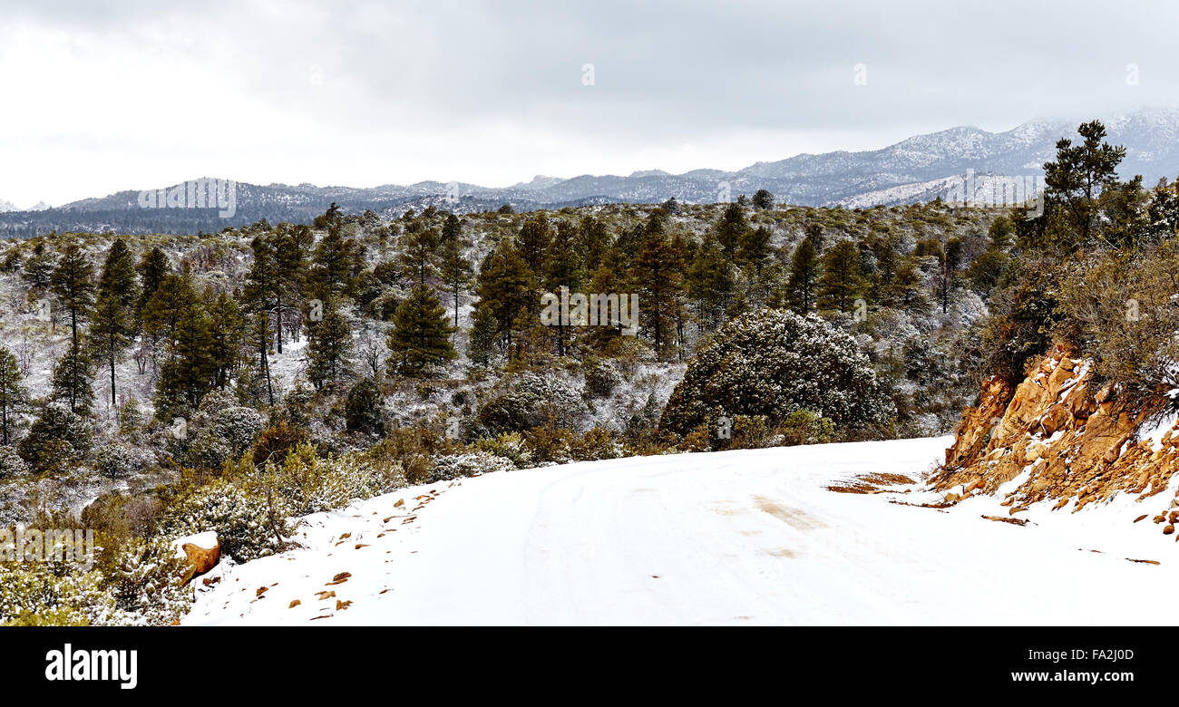 Mountain road covered in snow winding around curve with pine trees ...