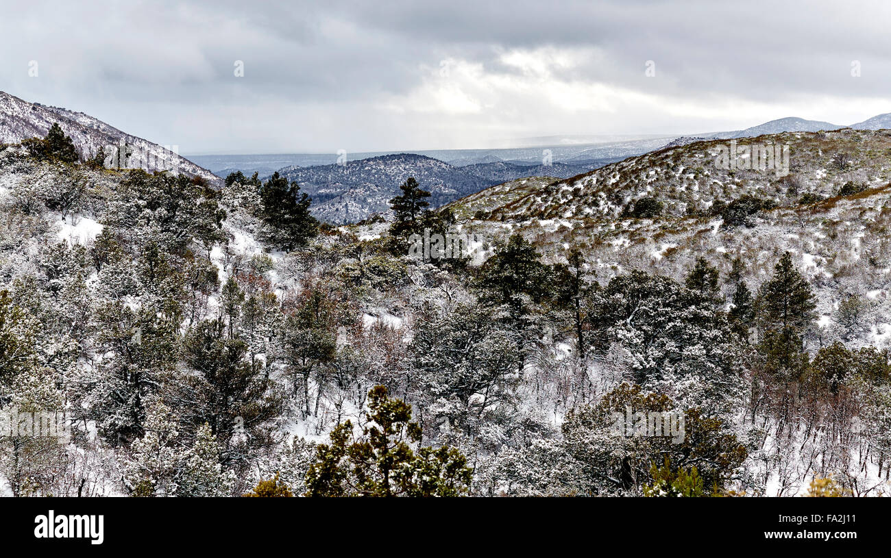 Snow covered mountains with evergreens, junipers and pine trees Stock ...