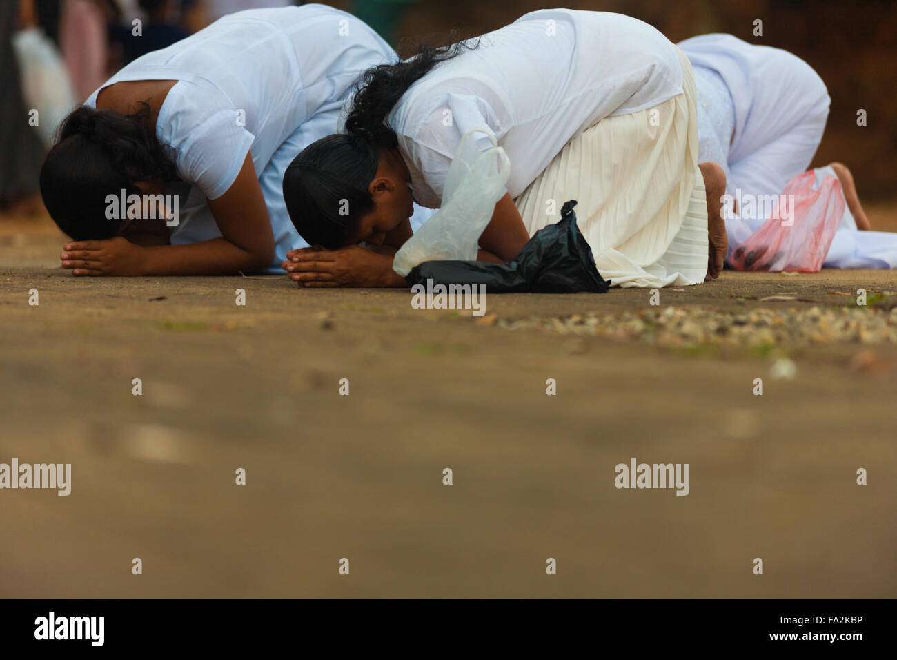 Sinhalese buddhist women at a local temple kneeling, bowing low in ...