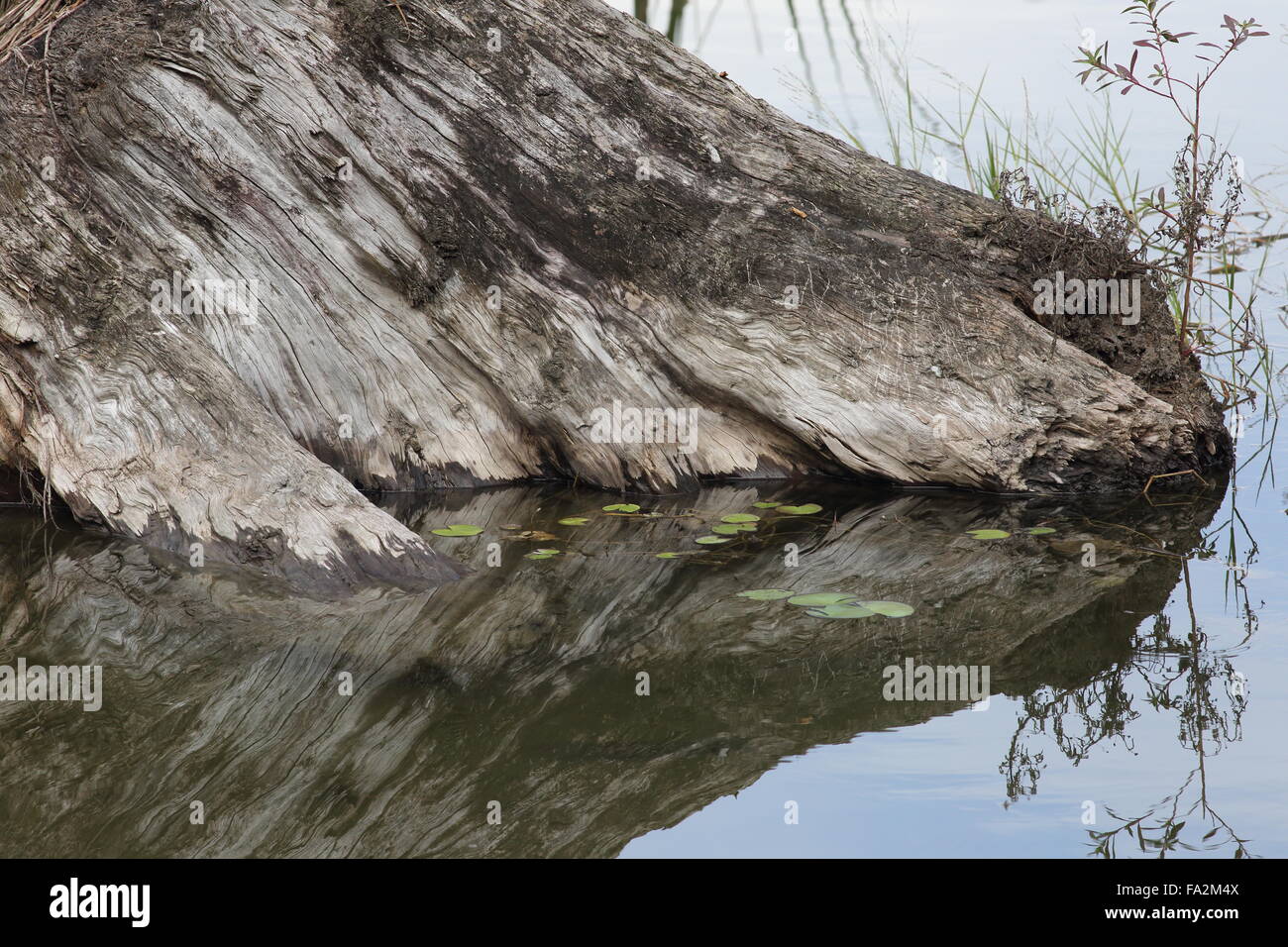 Reflection of reflection hi-res stock photography and images - Alamy
