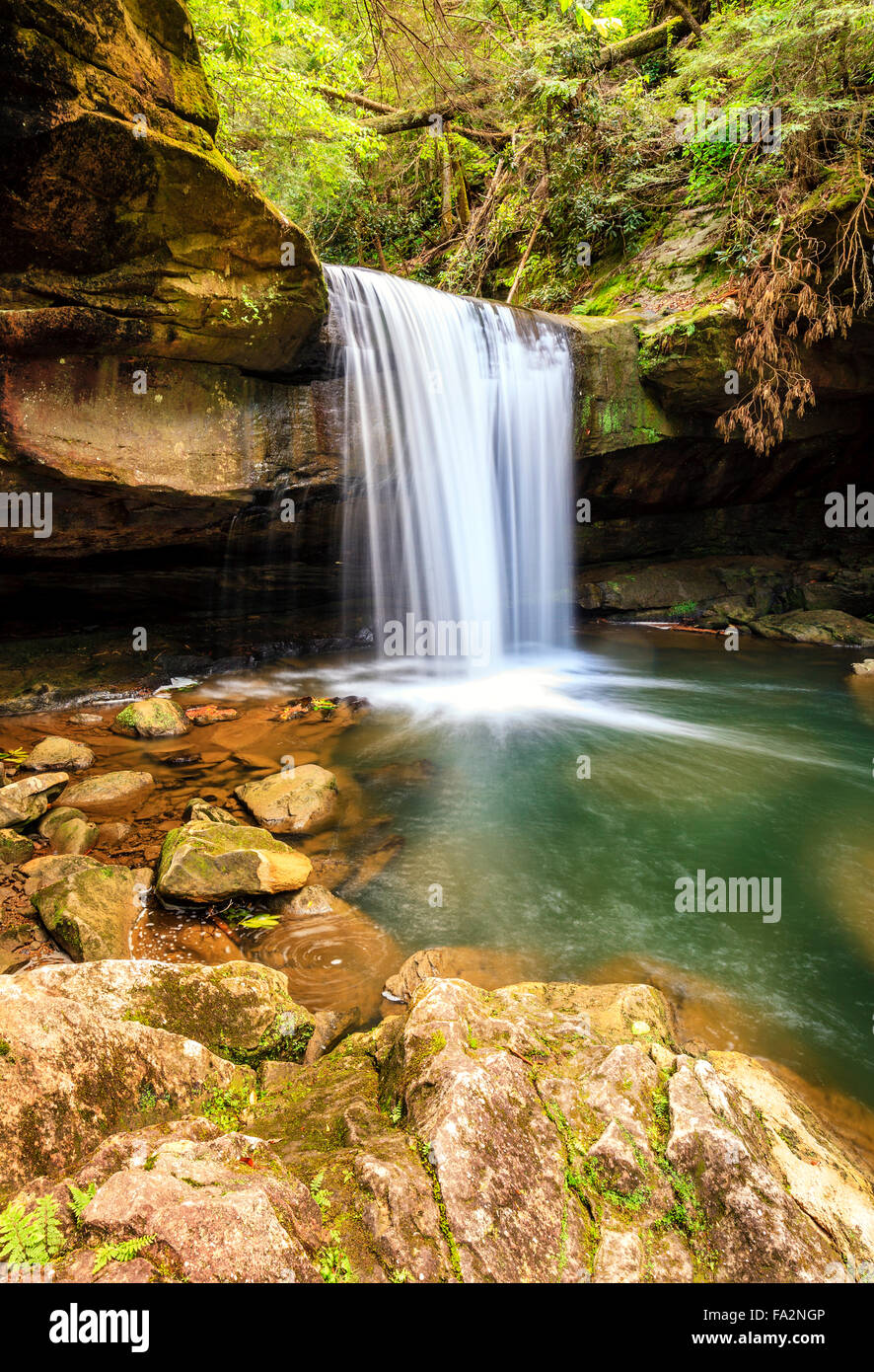 Dog Slaughter Falls in the Daniel Boone National Forest in Southern ...