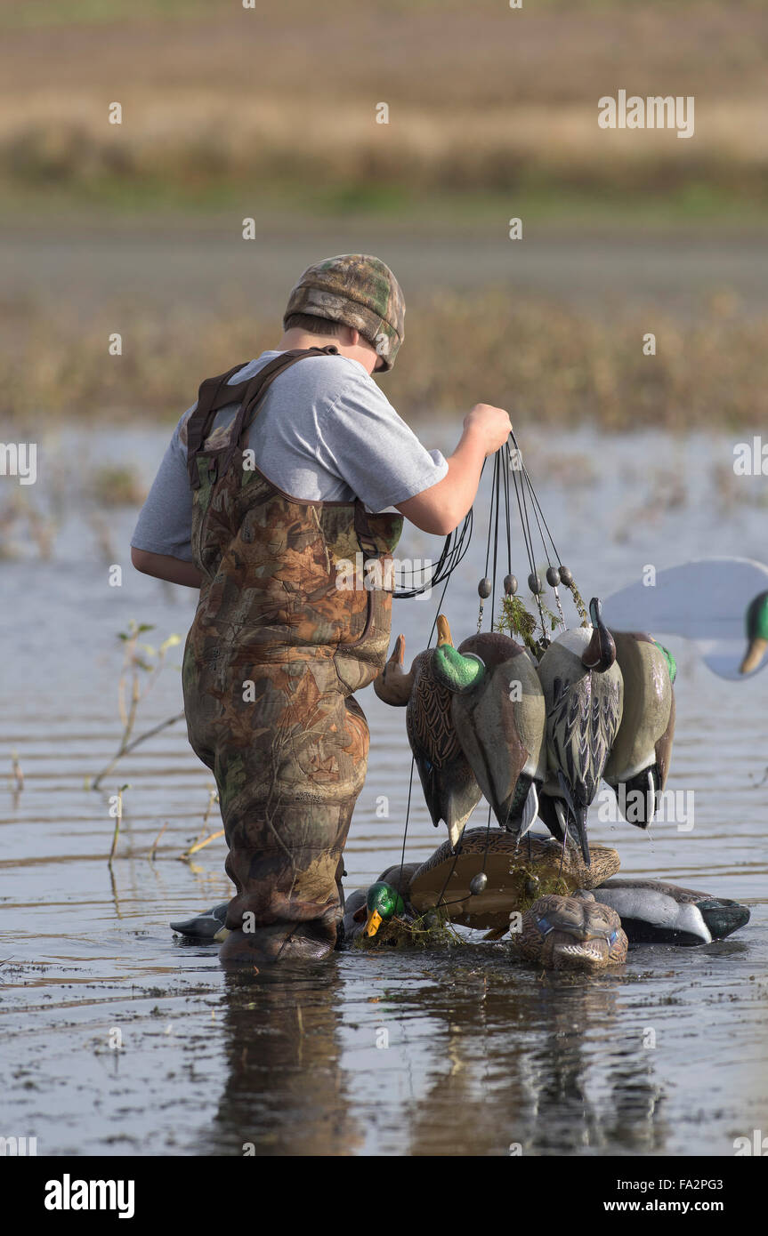 A young duck hunter picking up duck decoys Stock Photo - Alamy