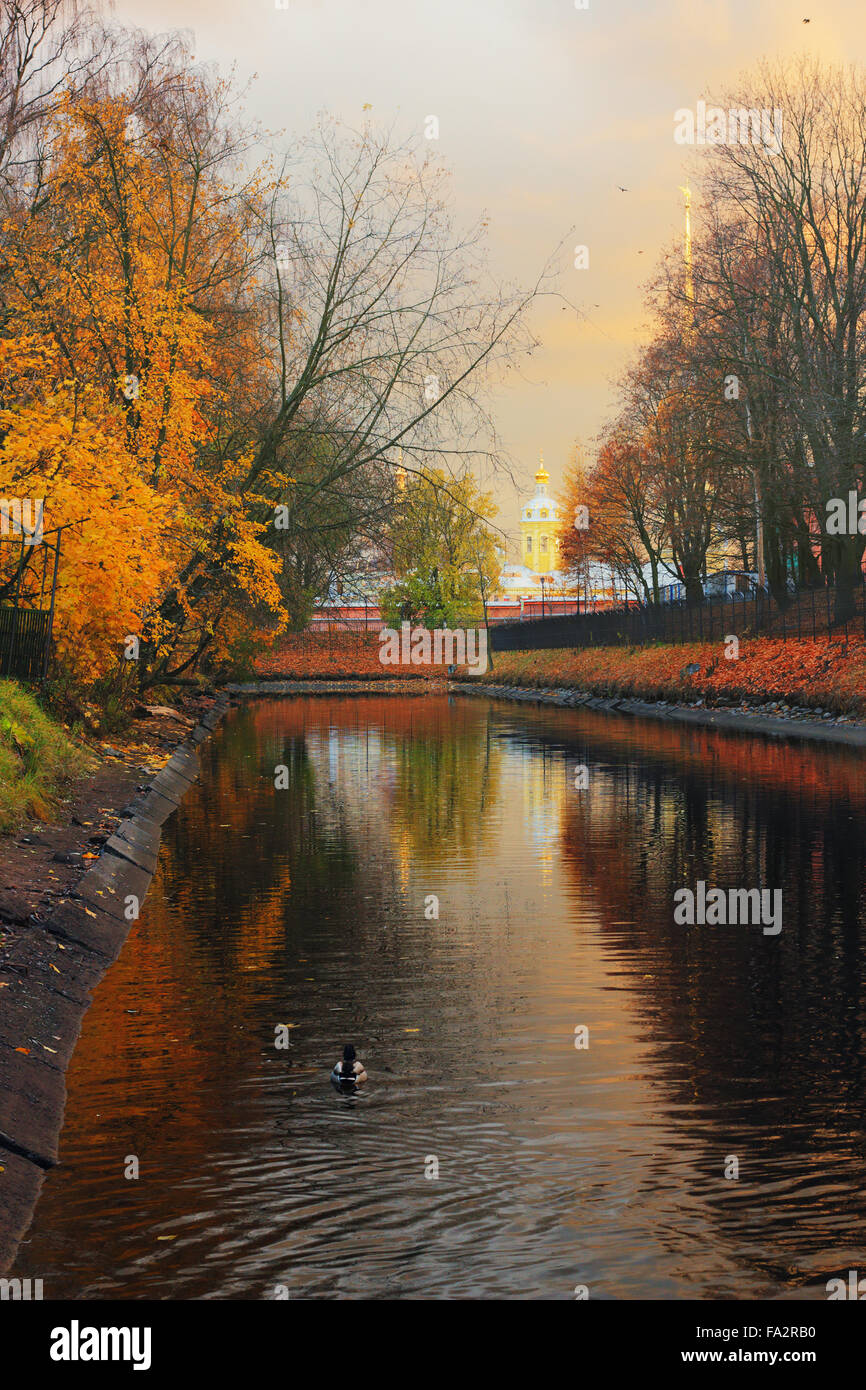 Autumnal park in the evening Stock Photo - Alamy