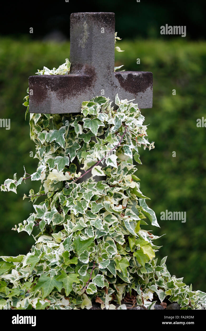 Cross in a cemetery Stock Photo - Alamy