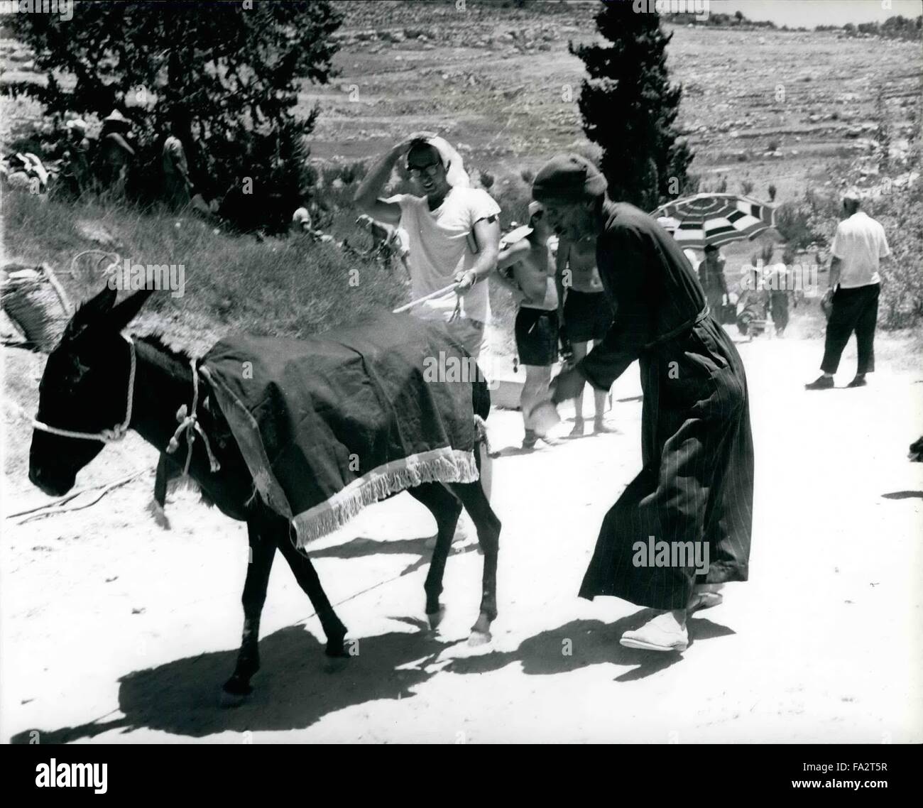 Ddt Spraying 1950s