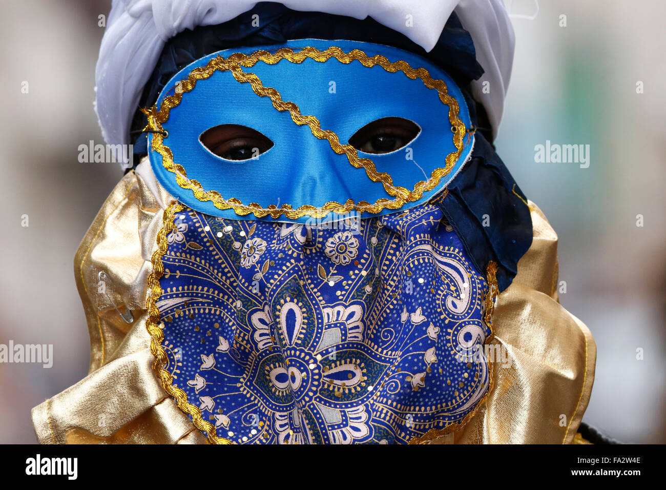 Paris Tropical Summer Carnival Stock Photo - Alamy