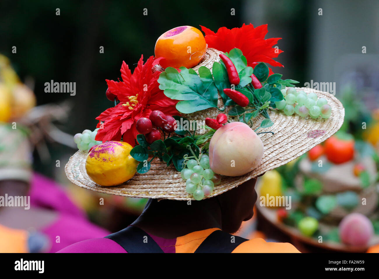 Paris Tropical Summer Carnival Stock Photo - Alamy