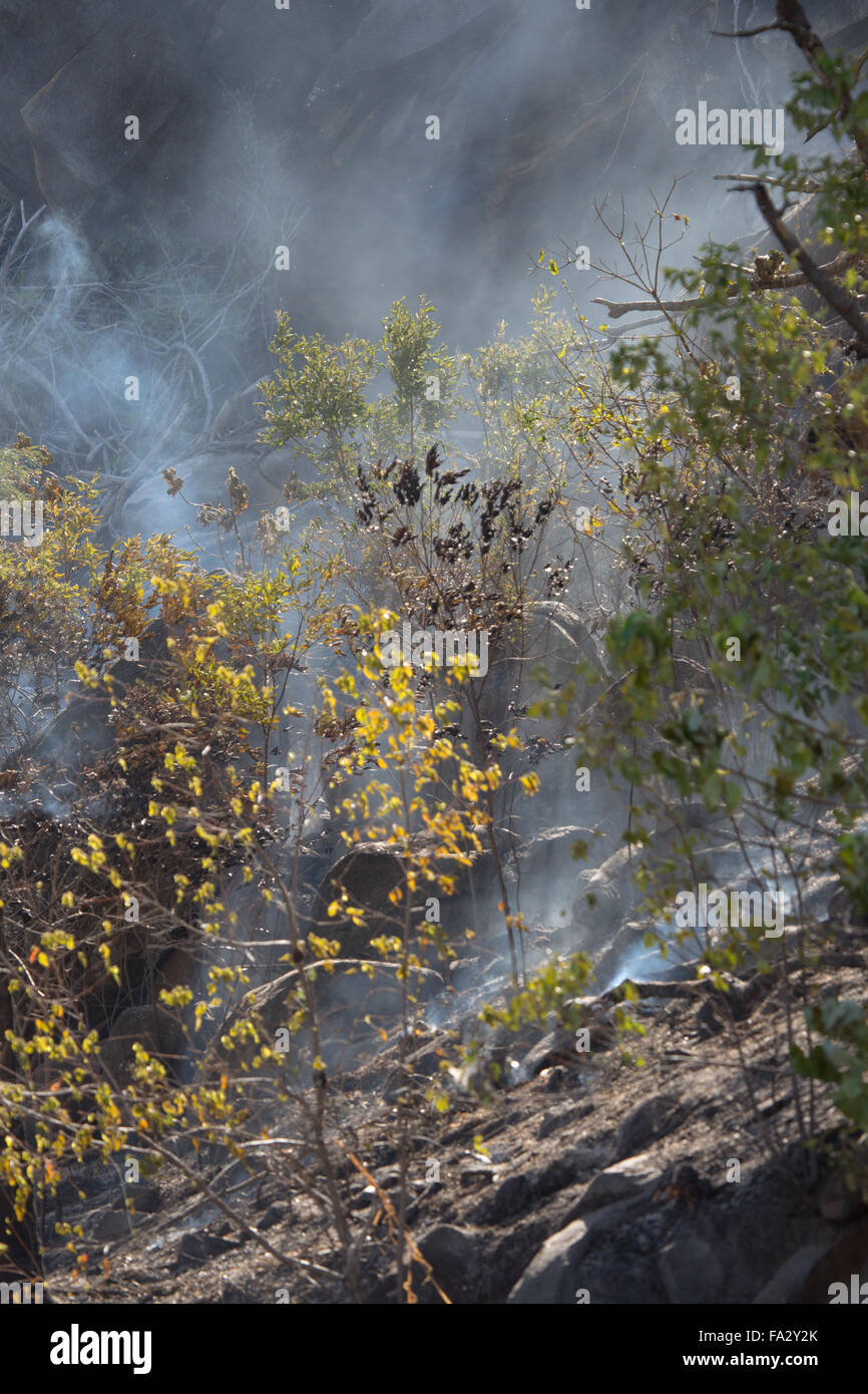 Smoke from a smoldering bush fire at Black Mountain, near Cooktown ...