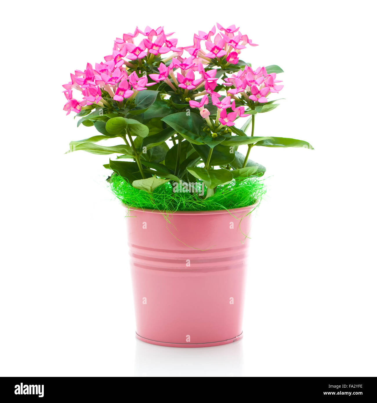 Metal pot hi-res stock photography and images - Alamy