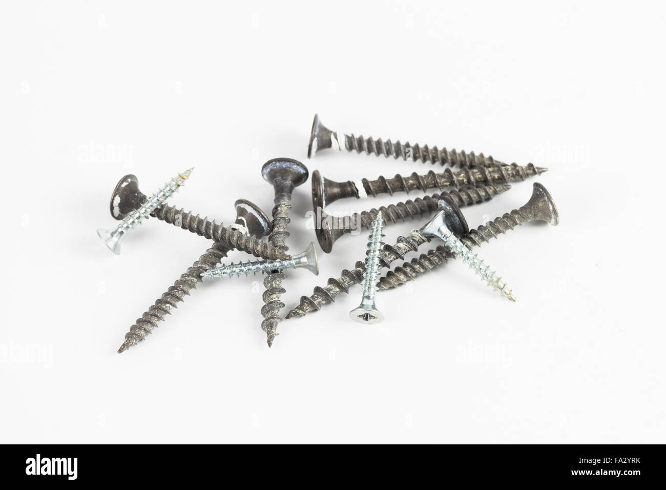 Twelve used screws of different shape photographed on white background ...