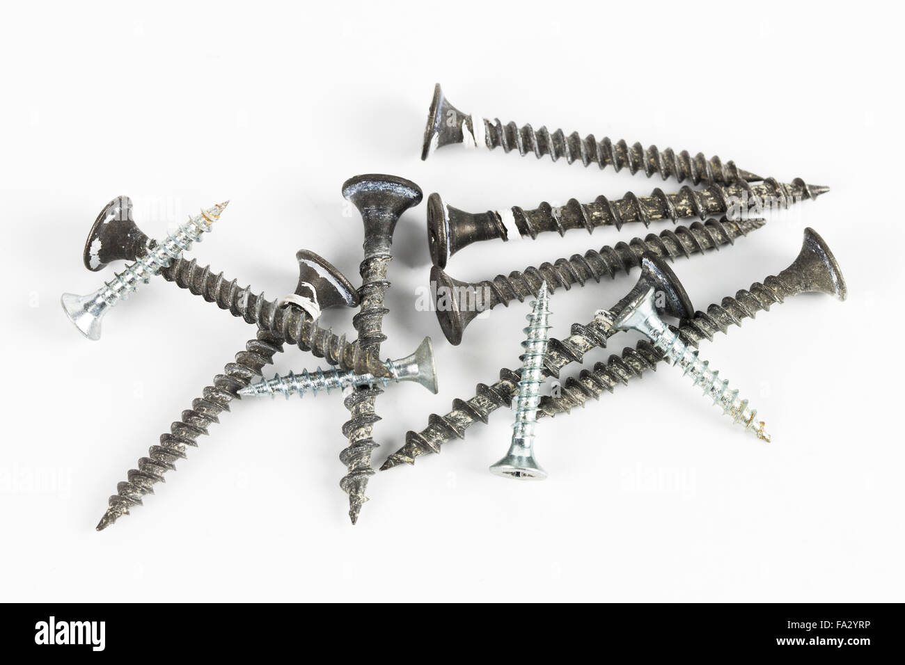 Twelve used screws of different shape photographed on white background ...