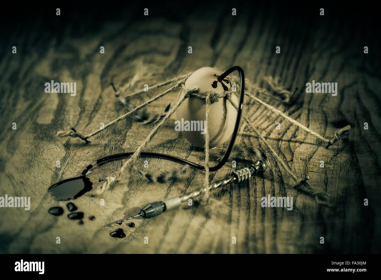Experiments on a chicken egg tied to a bench Stock Photo - Alamy