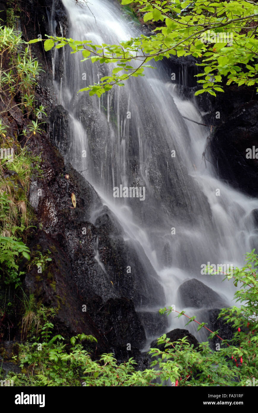 Waterfall Dunvegan Castle Isle of Skye Scotland UK Europe Stock Photo ...