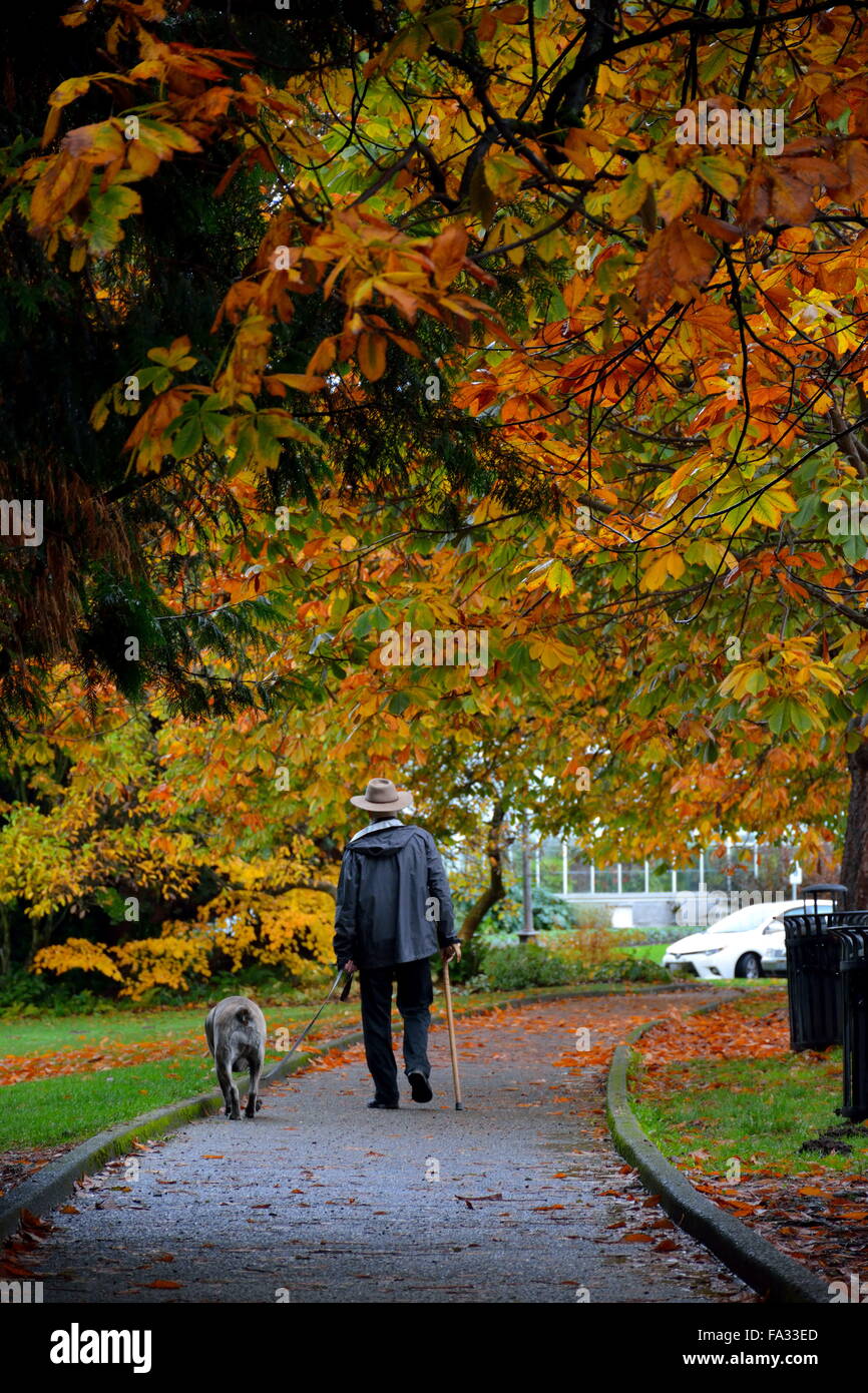 Old man and dog Stock Photo - Alamy